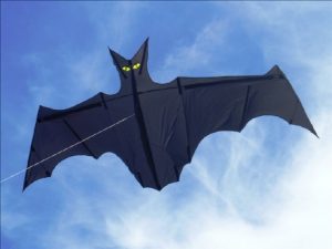 11ft Flapping Bat kite – Jim's Kites
