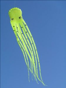 49ft Octopus kite – Jim's Kites