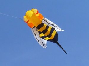 Bee kite – Jim's Kites