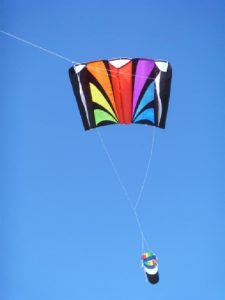 Double Lifter sled kite – Jim's Kites