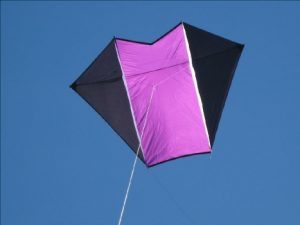 Fled light wind kite – Jim's Kites
