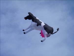 Flying Cow kite line laundry – Jim's Kites