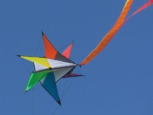 Kinetic Jewel kite – Jim's Kites