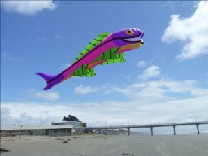 Premier Giant Fish kite – Jim's Kites