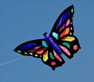 Rainbow Butterfly kite – Jim's Kites