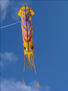 Squid kite by Ron Gibian – Jim's Kites