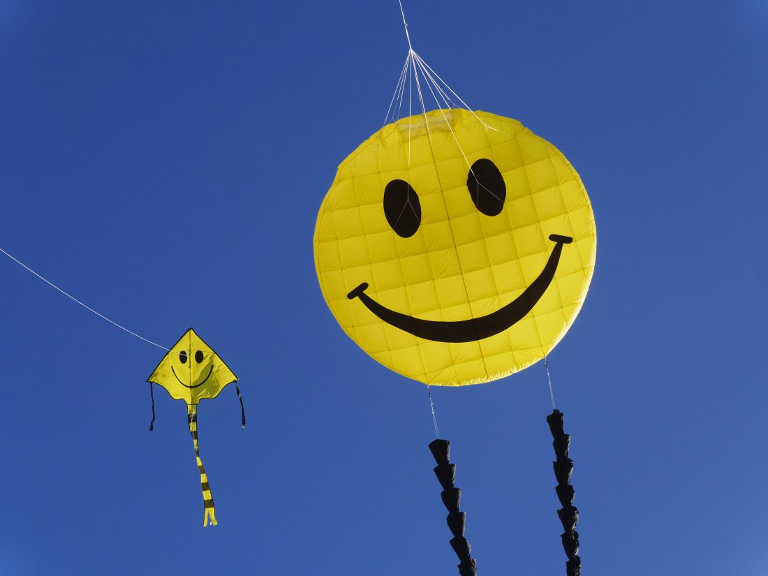 Huge Smiley kite by Marcel Burri – Jim's Kites
