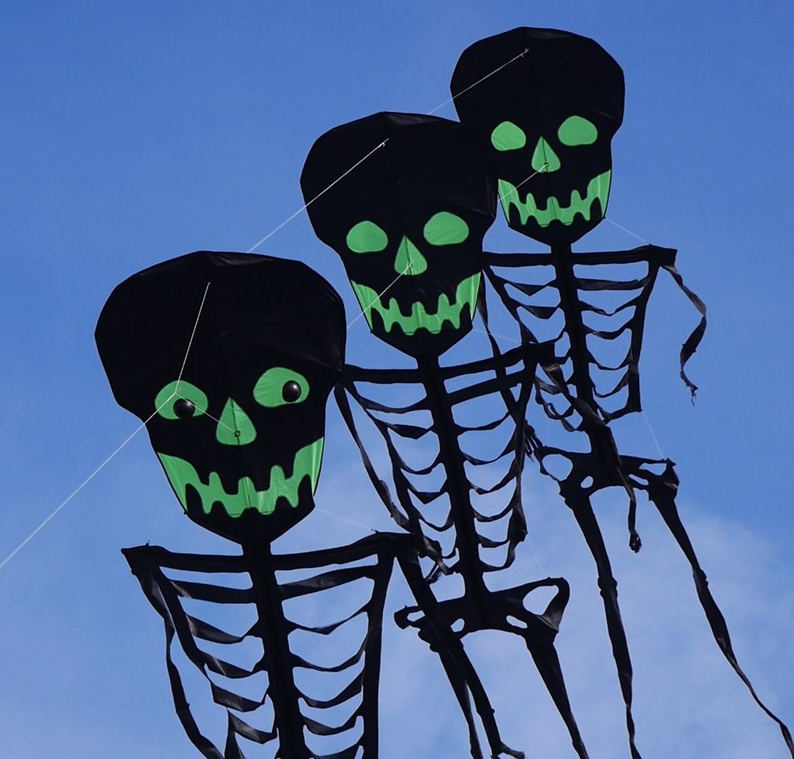 Skeleton kite – Jim's Kites