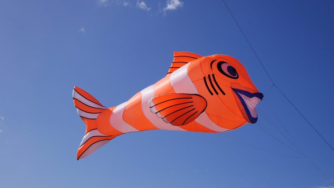 Big Clown Fish from Kaixuan Kite Factory – Jim's Kites